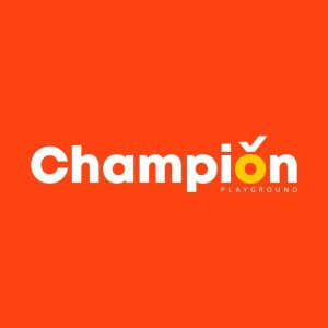 Champion Playground Saltillo Party